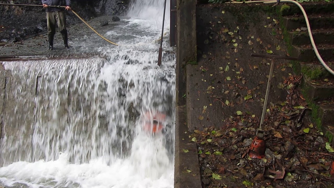 Magnesia Creek Intake - Infiltration Gallery - YouTube