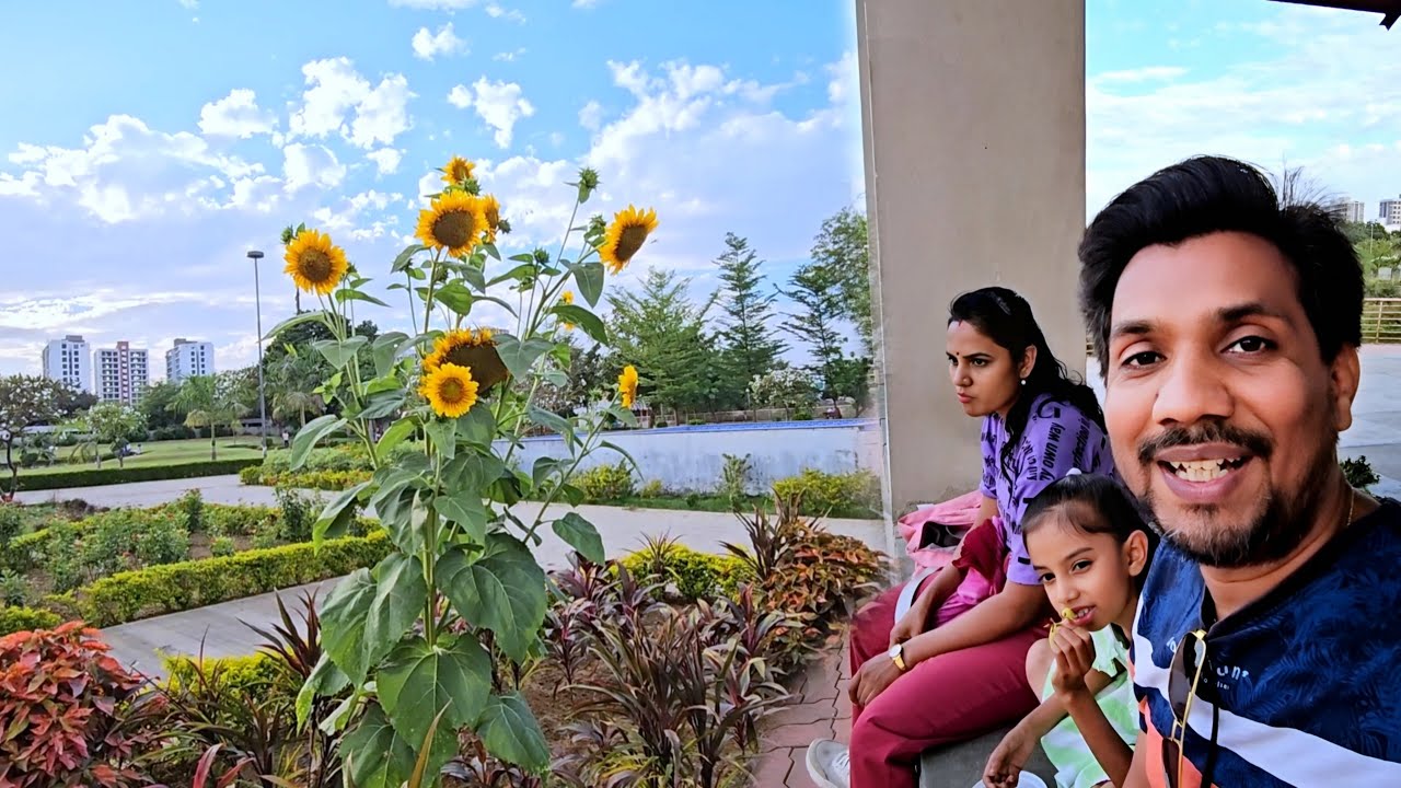Lovely Sunny Day aur Beautiful Sunflowers 😍 #familyvlog - YouTube