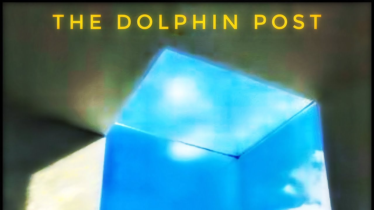 The Dolphin Post - “The Lions and the Clowns” - YouTube