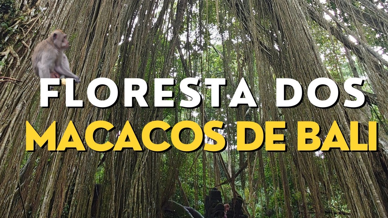 FLORESTA SAGRADA DOS MACACOS EM UBUD NA INDONESIA l Travel vlog - YouTube