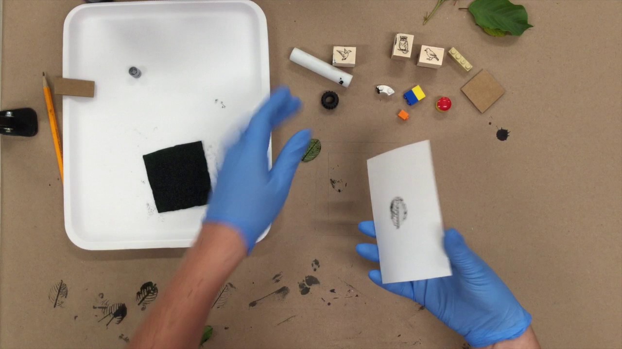 More Pronto Plates Part 1: Imaging your plate with stamps and gadgets ...