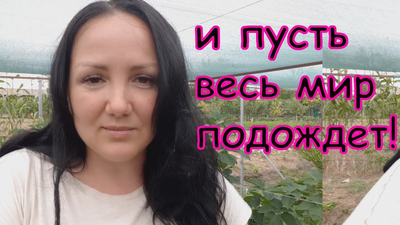 Ежевика Небеса Могут Подождать - замечательный сорт, просто бомба ...