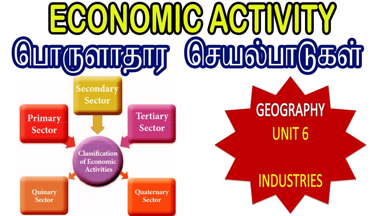 பொருளாதார செயல்பாடுகள் | Economic Activity | Primary Secondary Tertiary ...