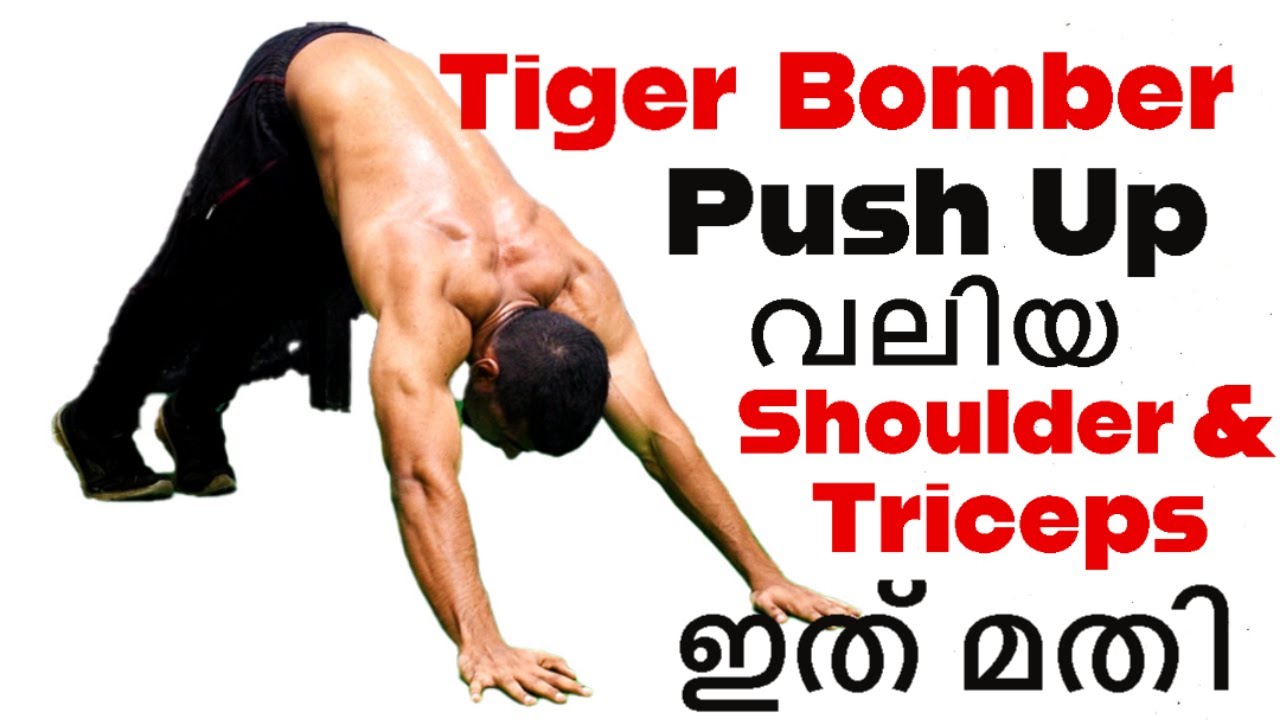 Tiger Bomber push up Malayalam | Shoulder push up | Triceps push ups ...