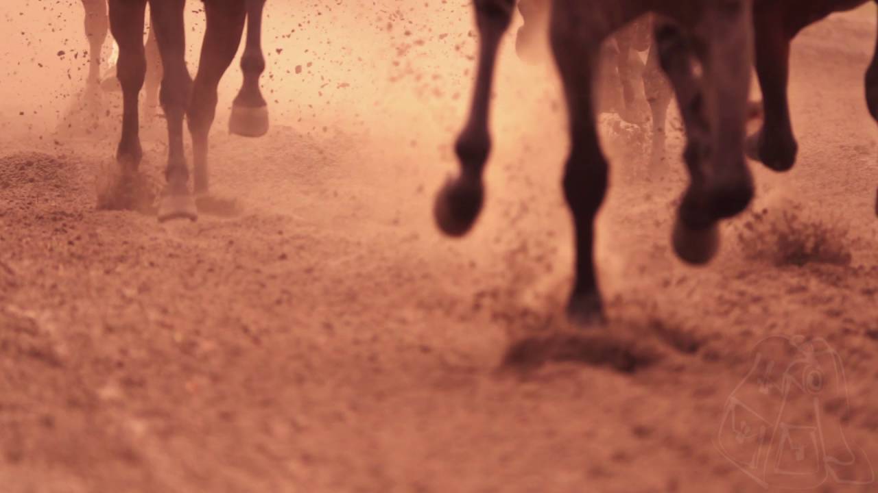 Horse Racing. Feet. Slow Motion - YouTube