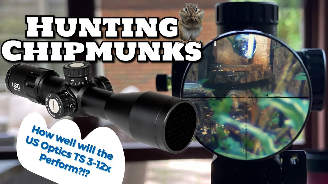 Chipmunk Hunting with US Optics TS 3-14x (Slow-Motion Scope Cam!) - YouTube