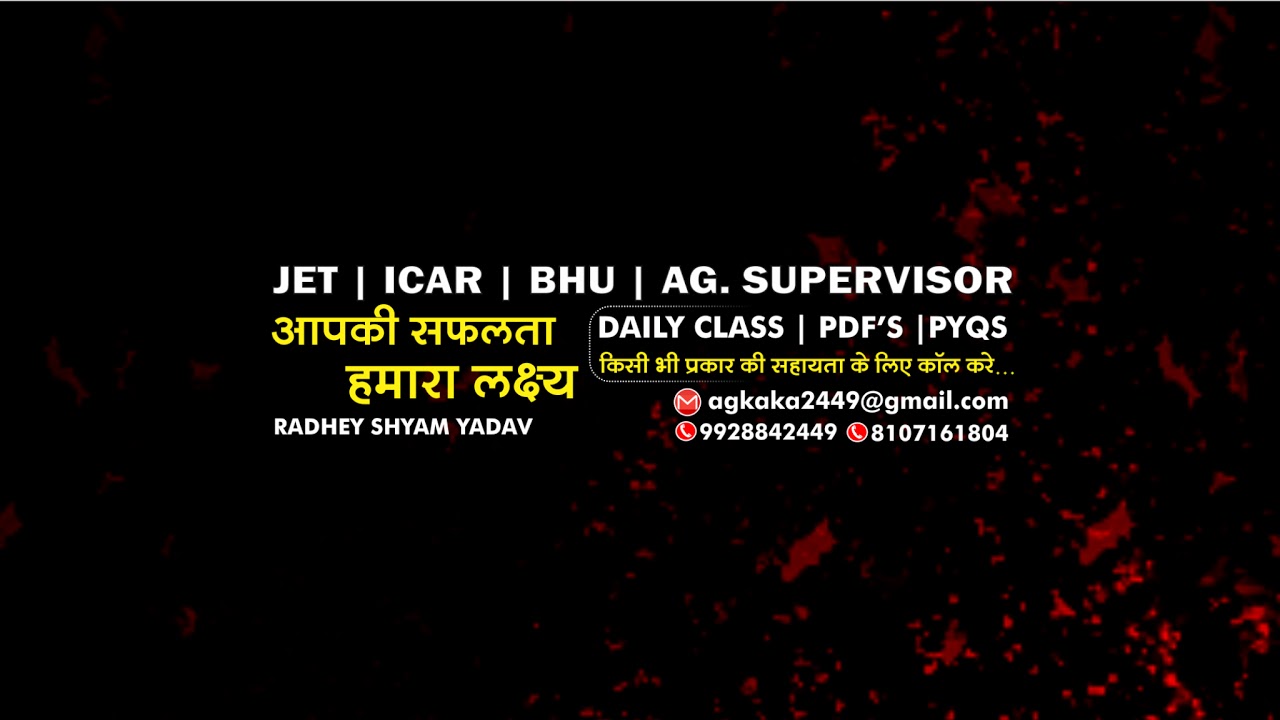 AG KAKA Live Stream - YouTube