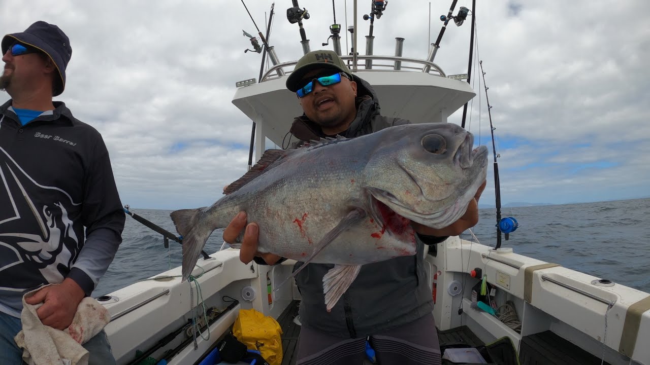 Catching Blue Eye Trevalla Deep sea fishing - cruise craft outsider 650 ...