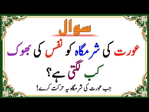 Top Islamic Questions Answers - Urdu Quiz - Islamic Paheliyan - Islami Sawal Jawab - Islamic Quiz