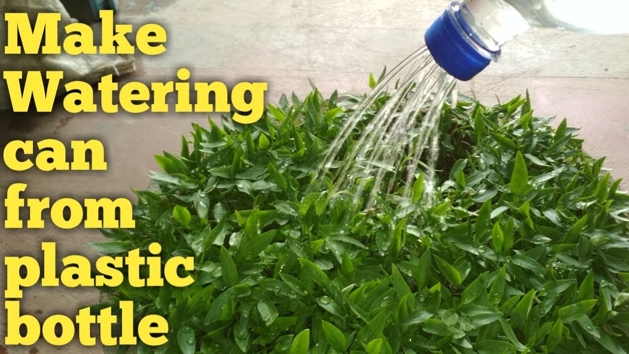How to make watering can from plastic bottles. - YouTube