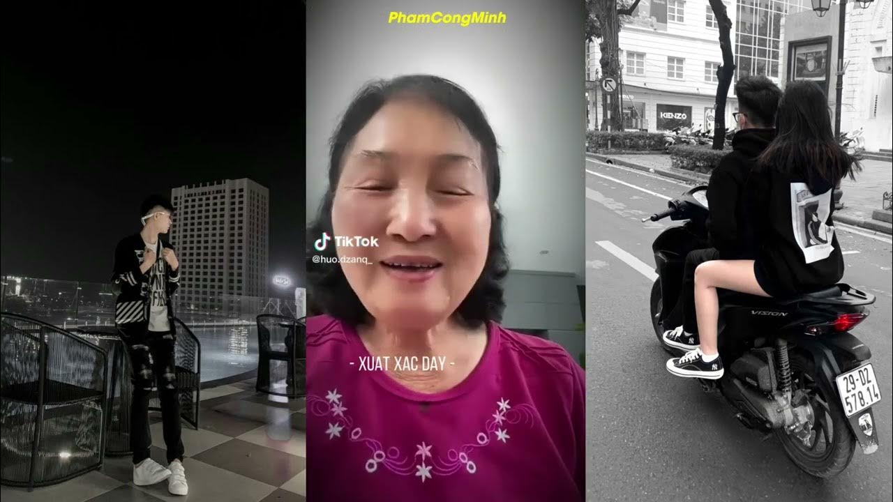 Tổng Hợp Những Video Của Các idol Tik Tok #8 | Pham Cong Minh - YouTube