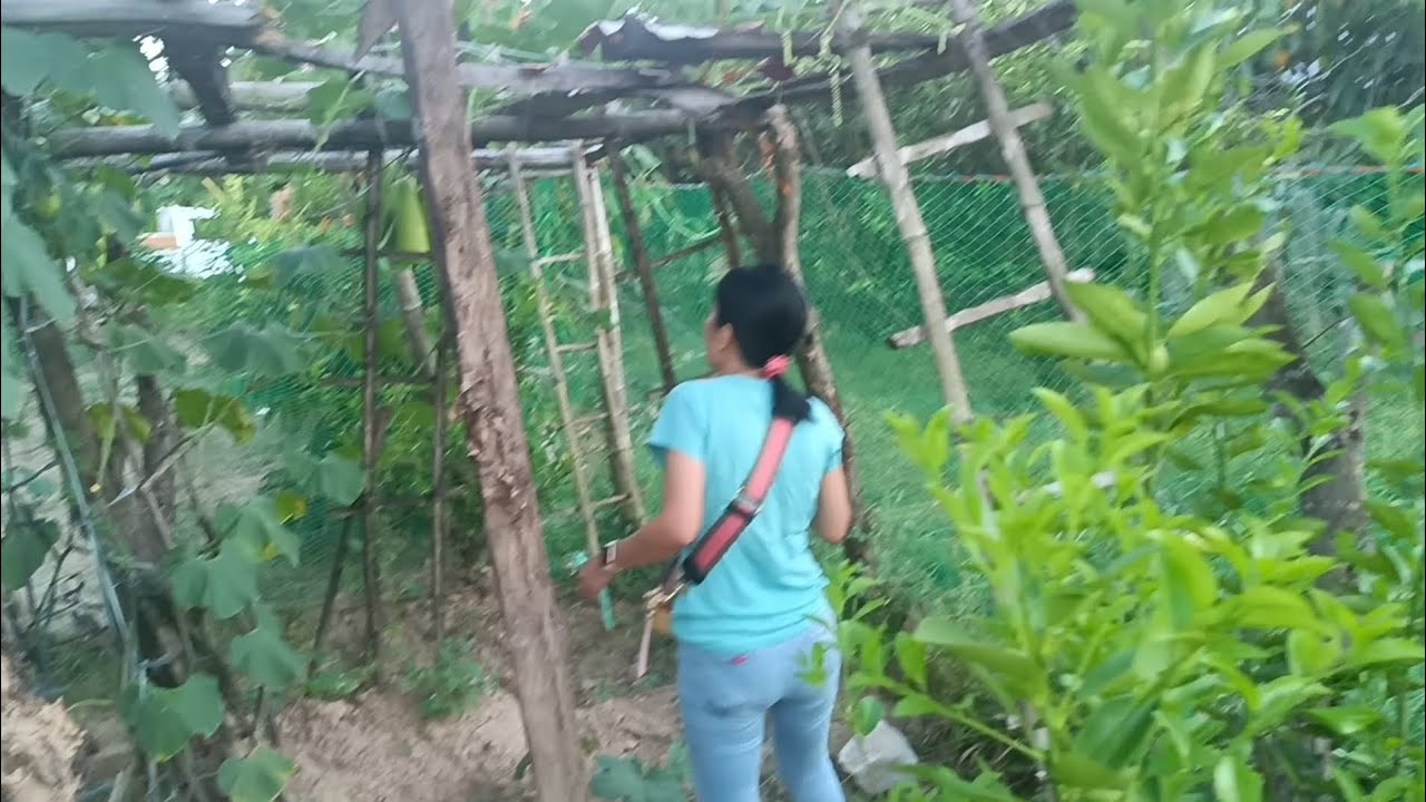 NAMASYAL SI ATE JOSIE SA GARDEN - YouTube