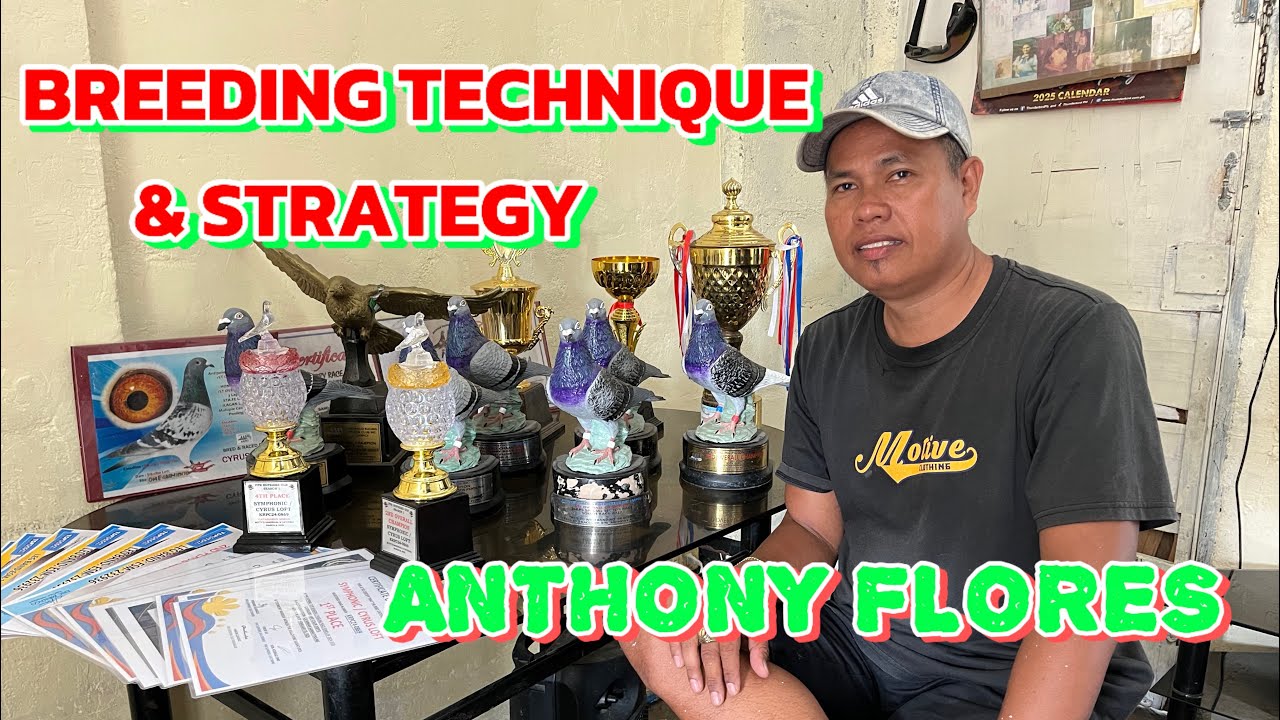 BREEDING TECHNIQUE & STRATEGY “ANTHONY FLORES” PART 2 - YouTube