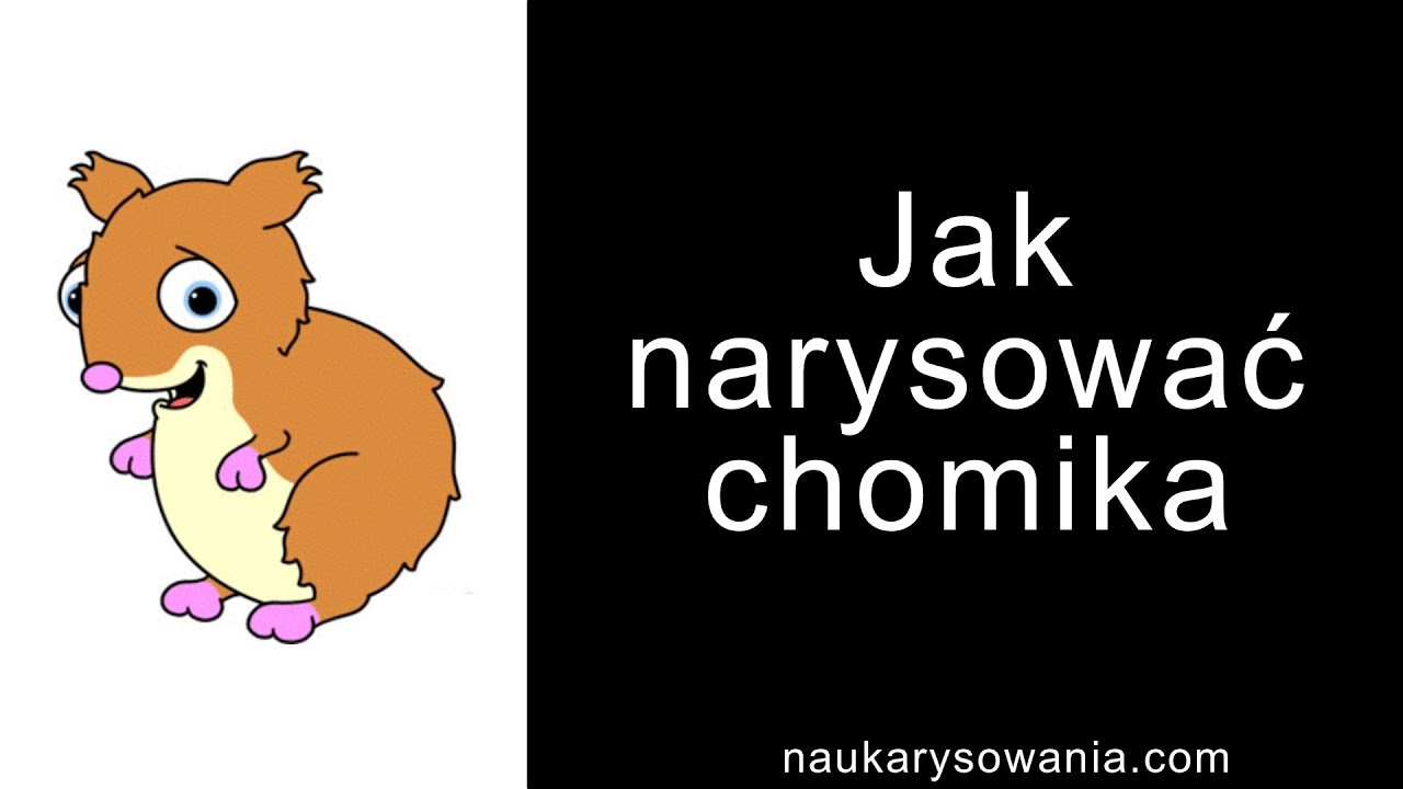 Jak narysować chomika | Rysowanie chomika krok po kroku - YouTube