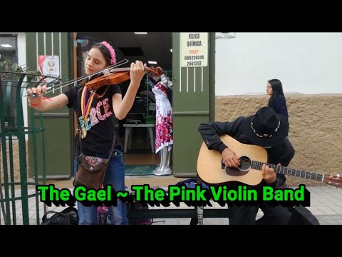 The Gael (The Last of The Mohicans - Dougie MacLean) ~ The Pink Violin ...