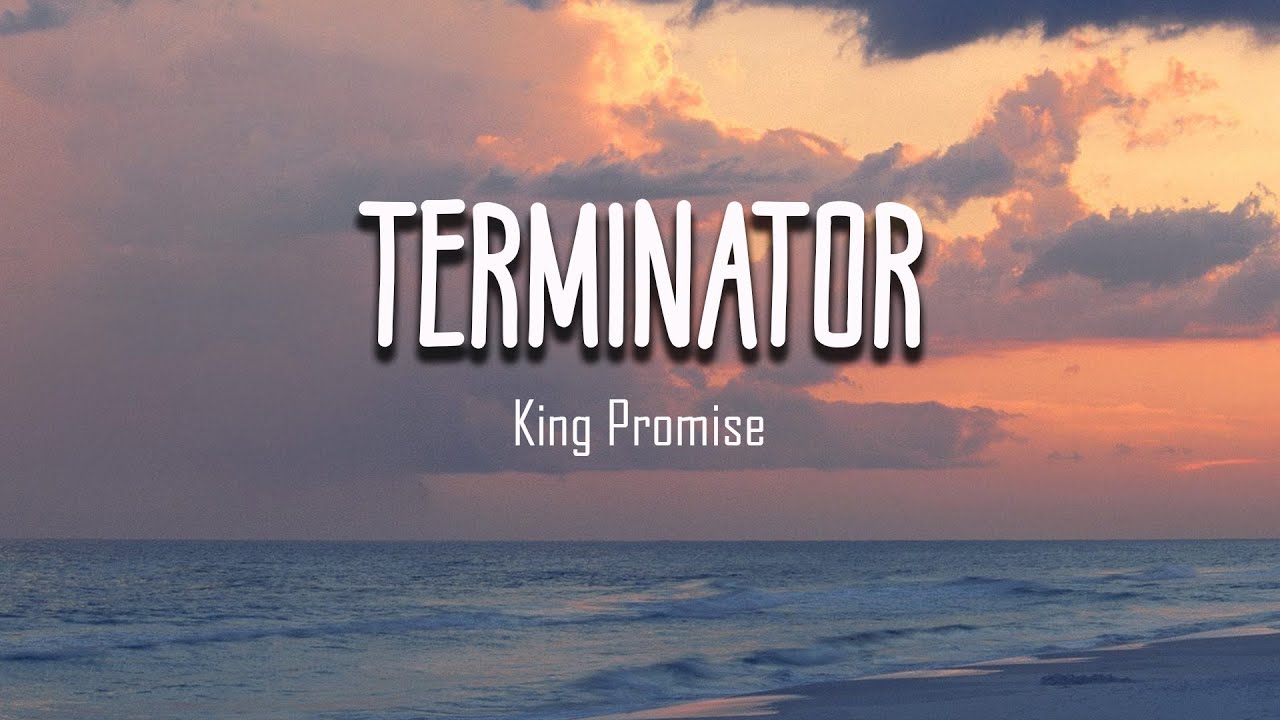 King Promise - Terminator (Lyrics) - YouTube