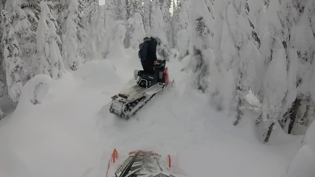 Snowmobile, sledding, trees - YouTube