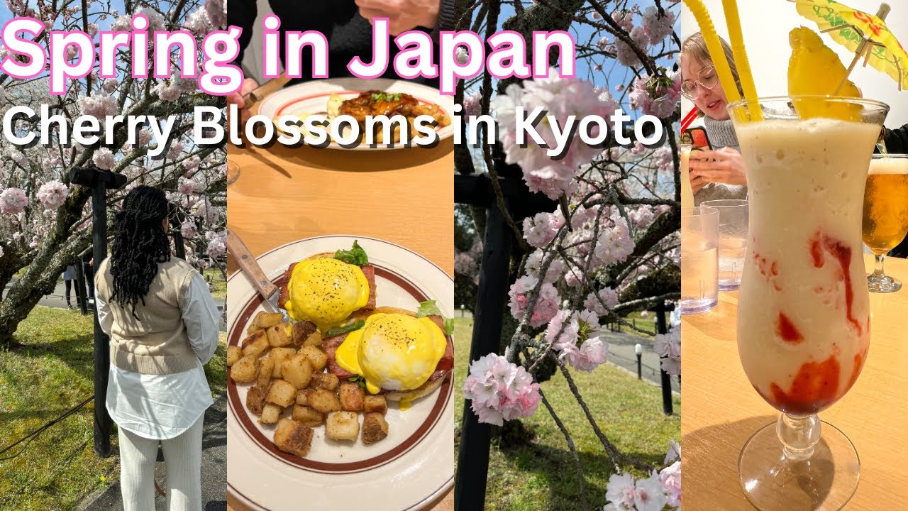 LIVING IN JAPAN⛩️ Spring in Japan, Sakura viewing in Kyoto, Cafe Dates ...