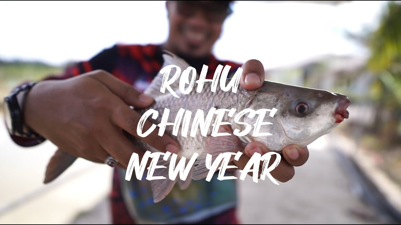 **WARNING!! TERRIBLE AUDIO** Rohu Chinese New Year - #Vlog 40 - YouTube