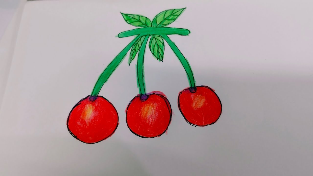 Day 33/How to draw and colour Cherry/ basic drawing class - YouTube