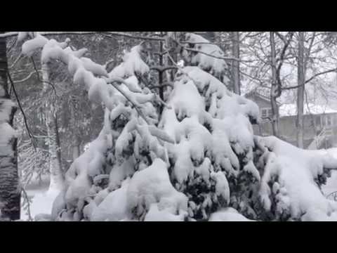 Heavy snow, gusts of wind, as seen in the Pinehurst section of ...