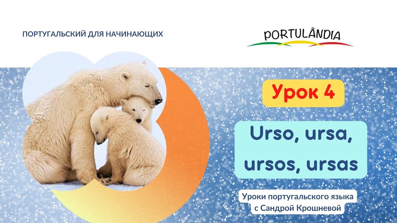 5 - Urso, ursa, ursos, ursas - YouTube