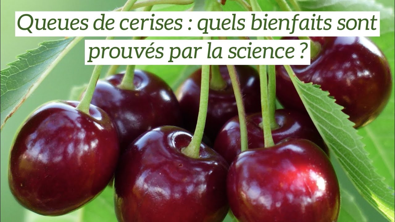 Queues de cerises : quels bienfaits sont prouvés par la science ? - YouTube