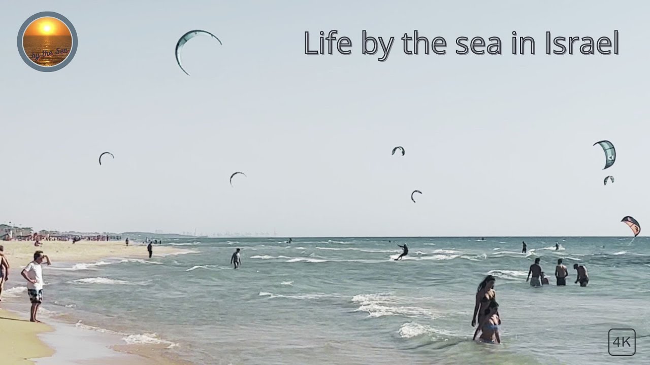 Walk beach surf Israel 2023 - YouTube