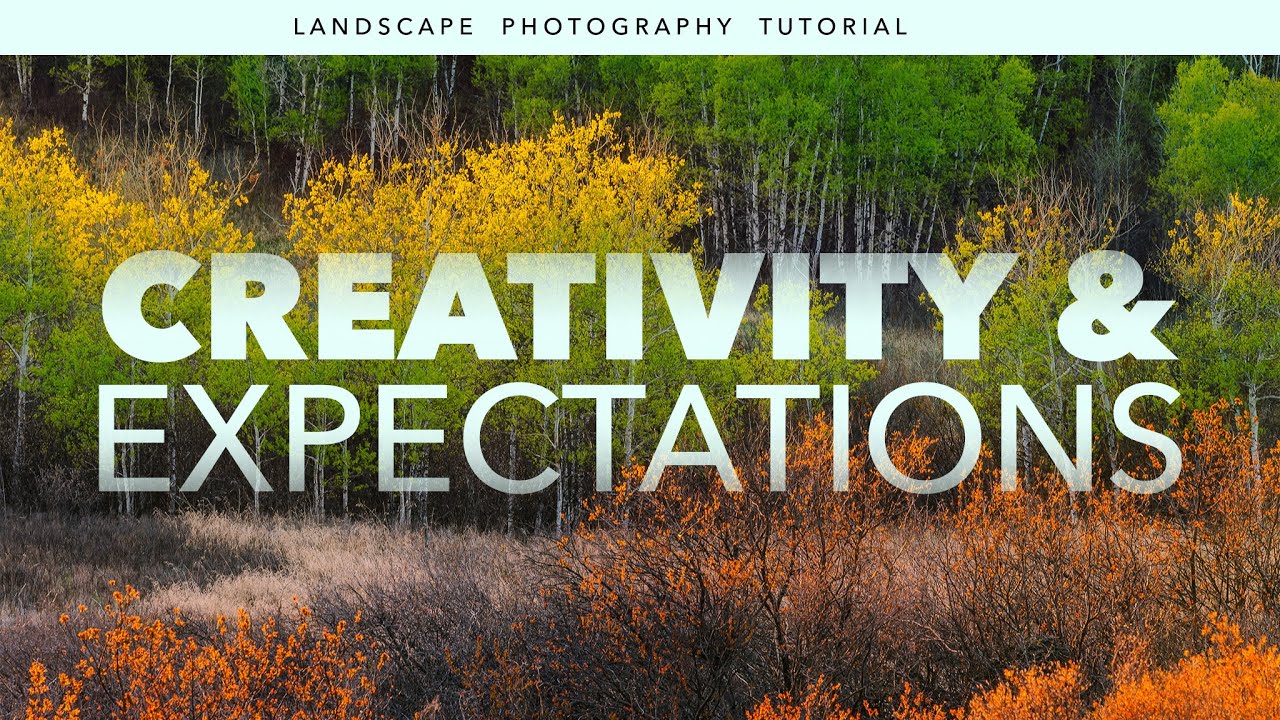Improve The CREATIVITY of Your Landscape Photography When You ...