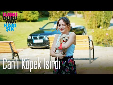 Can'ı köpek ısırdı