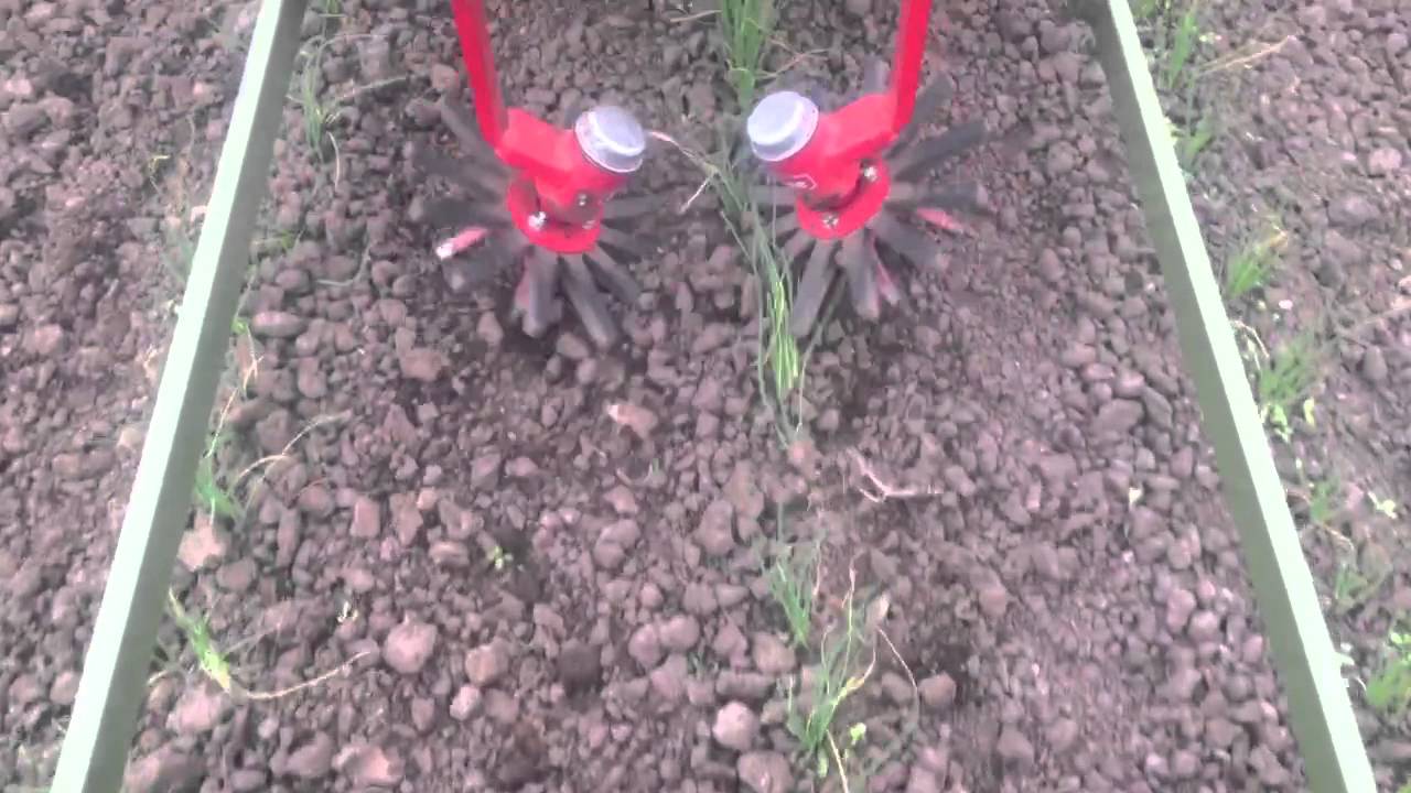 Finger weeding onions with a Planet Jr tractor - YouTube