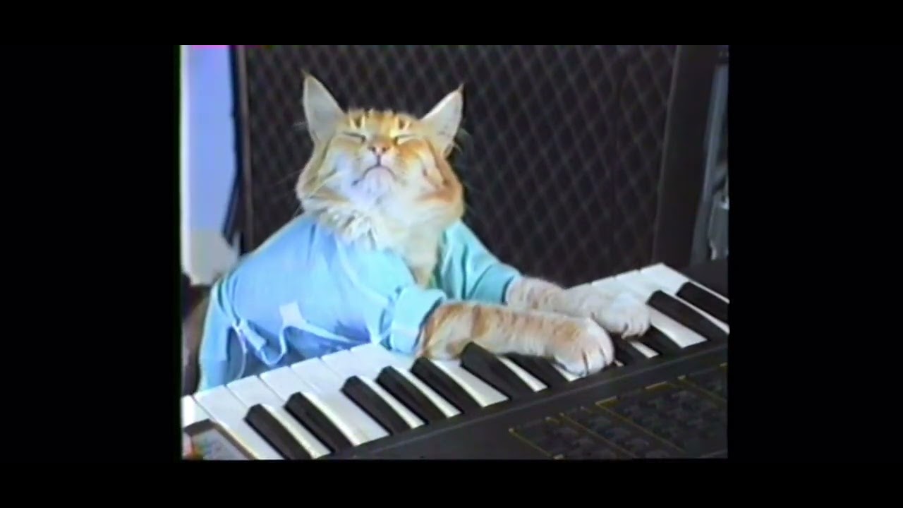 10 minutes of keyboard cat - YouTube