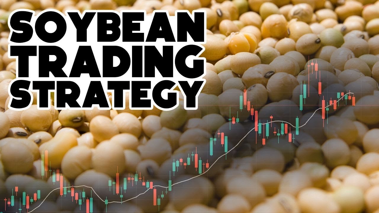 Soybean Trading Strategies I | Tim Black | Trading Strategy Guides ...