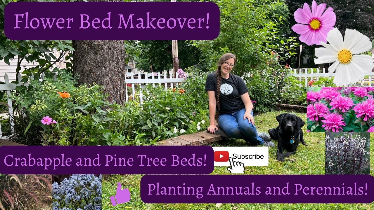 Flower Bed Makeover: Crabapple and Pine Tree Beds! (Planting Annuals ...