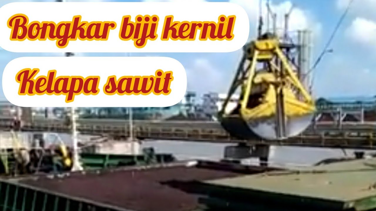 PROSES BONGKAR BIJI KERNEL//BIJI KELAPA SAWIT - YouTube