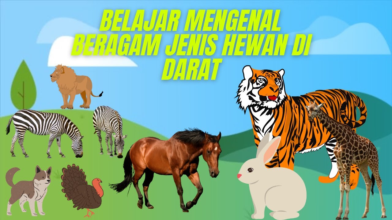 Belajar Mengenal Beragam Jenis Hewan di Darat - YouTube