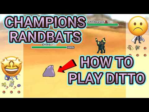 How To Play Ditto! (Pokemon Showdown Random Battles)