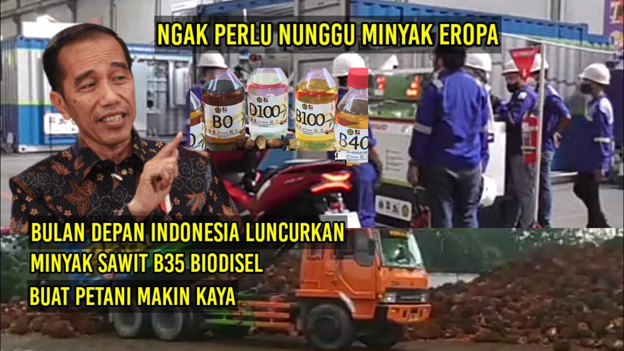 minyak sawit biodiesel B35 bulan depan resmi diberlakukan - YouTube