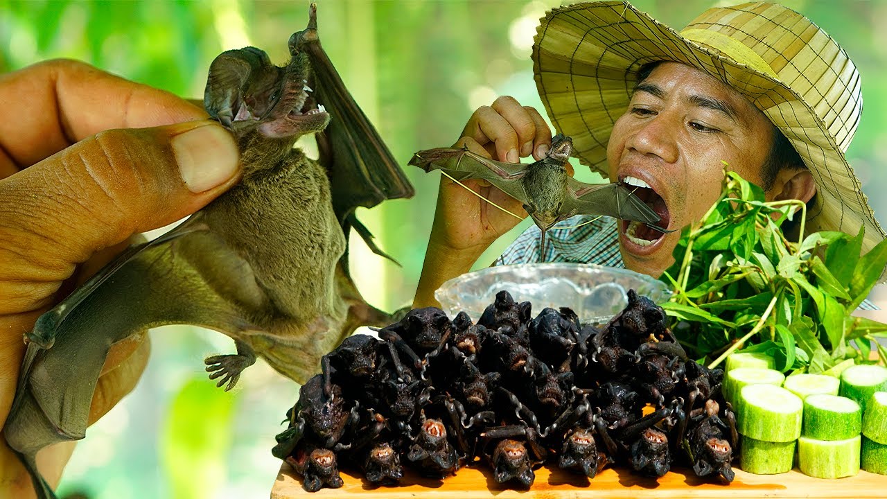OMG Boil Bats For Food First Food Recipe | Best Village Food 2022 ...