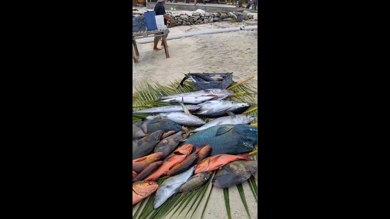 ANZAC Day Village Fishing Competition | Tukao Manihiki Cook Islands ...