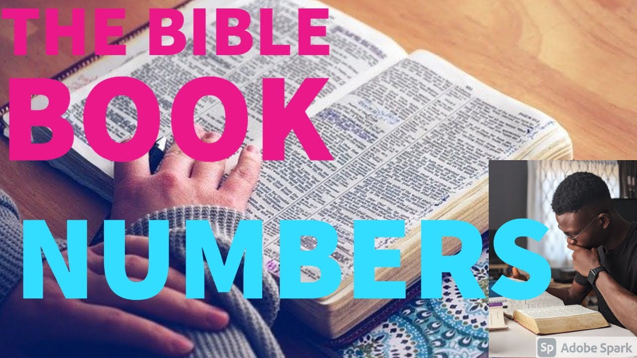 THE BIBLE BOOK OF NUMBERS CHAPTER 19 & 20 (kjv reading) - YouTube