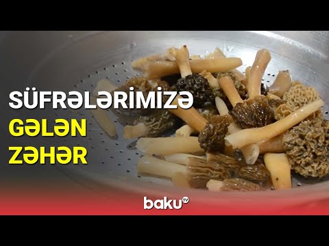 Süfrələrimizə gələn zəhər - BAKU TV