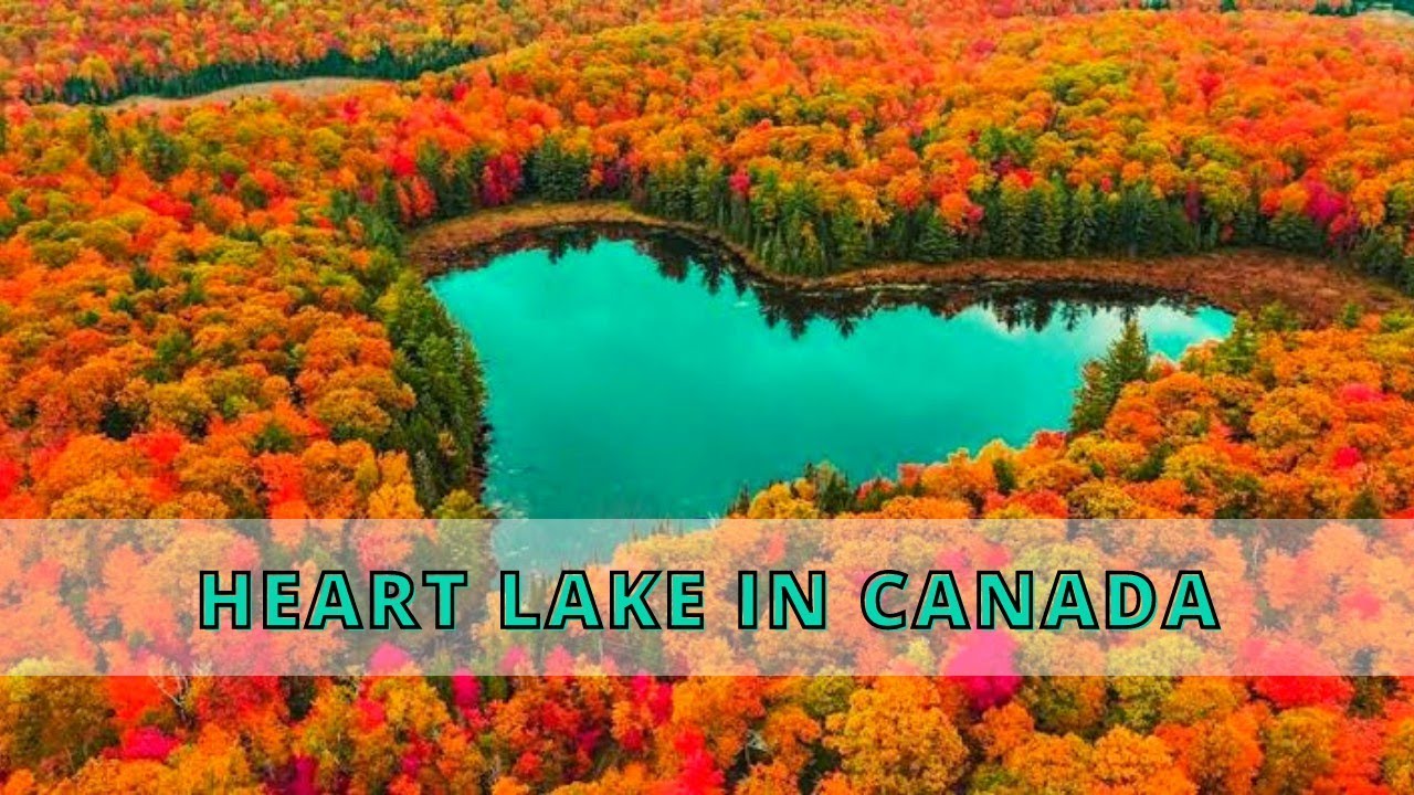 Heart Lake in Brampton, Canada | Fishing at Heart Lake - YouTube