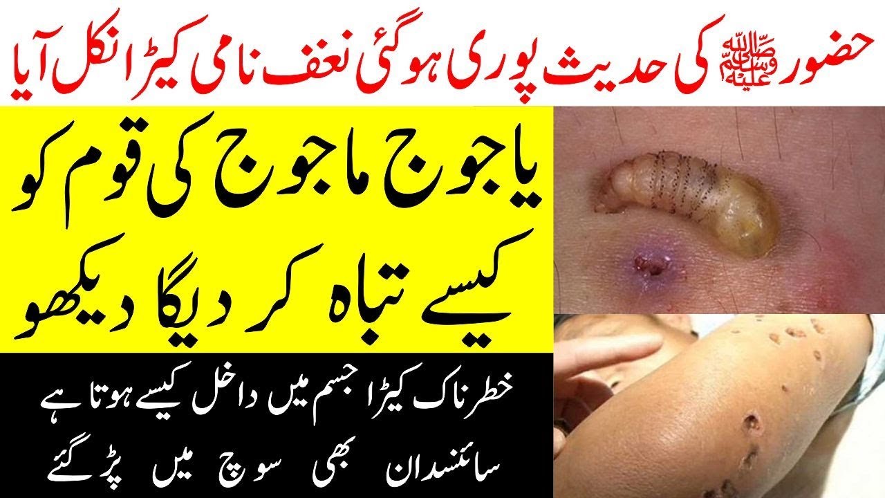 Naghaf Name Ka Kira Nikal Aya || Hazoor Saw Ka Farman Pura Ho Giya ...