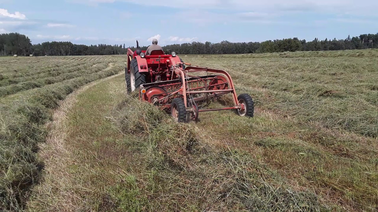 Dad raking with the Belarus 420 t40a, and ac 77 rake - YouTube