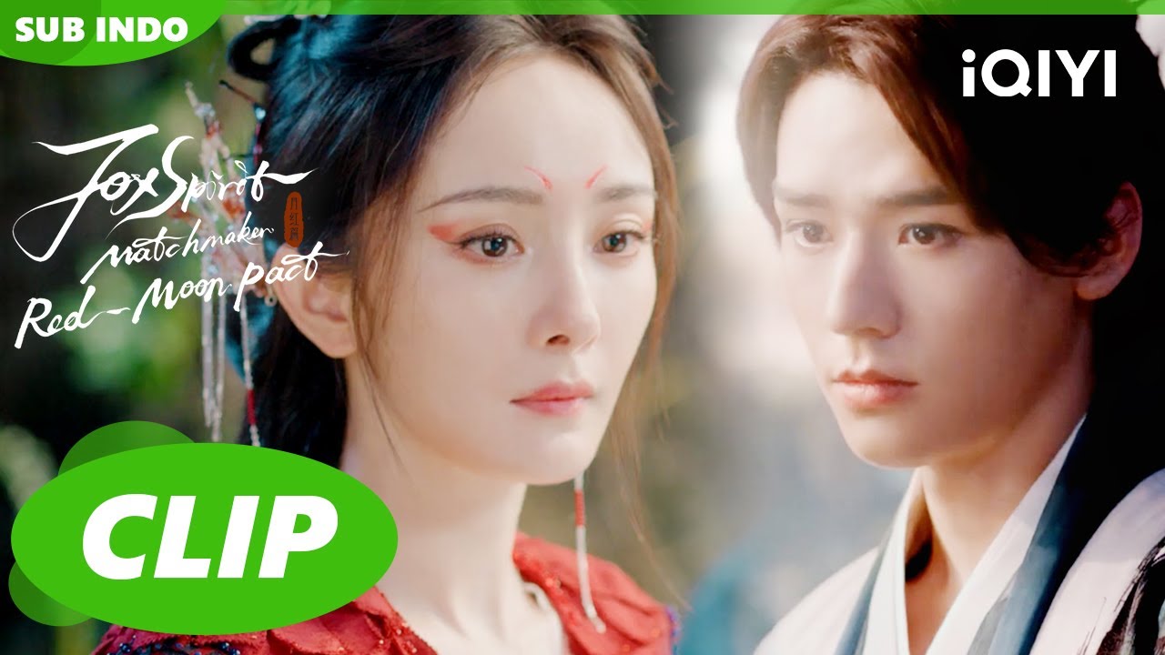 Tushan Honghong mengamuk😡😤| Fox Spirit Matchmaker Red-Moon Pact | CLIP ...
