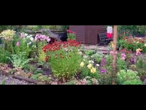 Allotments On History Visit To Moncrieffe Island River Tay Perth ...