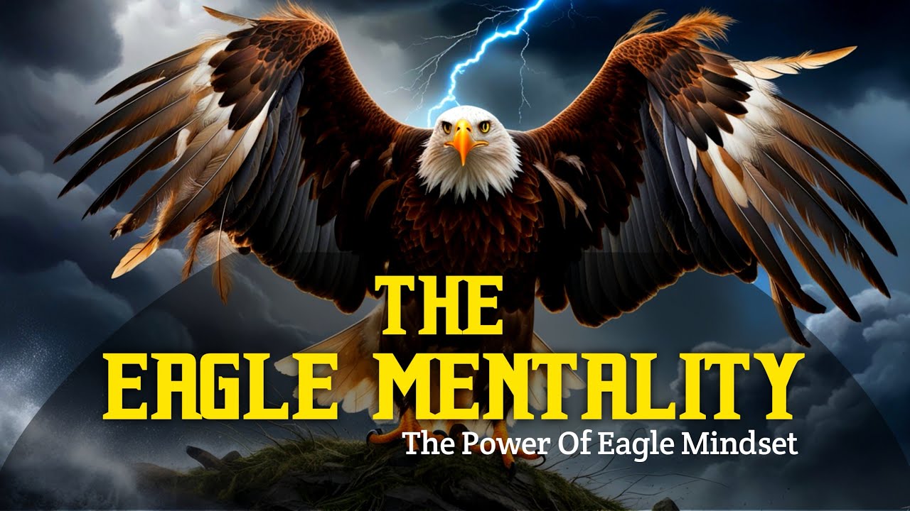 eagle mindset for success | eagle mentality | the powerful motivation ...