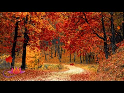 Relaxing Music With Fall Scenery |Clever Relaxing Music - YouTube
