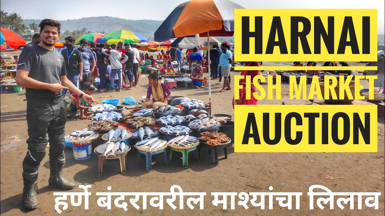 HARNAI FISH MARKET AUCTION | HARNAI BEACH | DAPOLI | KOKAN | DAPOLI ...